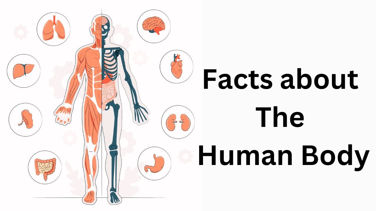 Amazing Science Facts